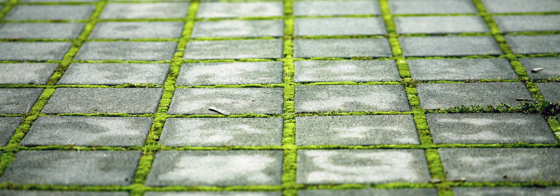 How to Keep Your Patio Moss-Free: Expert Tips & Natural Remedies ...