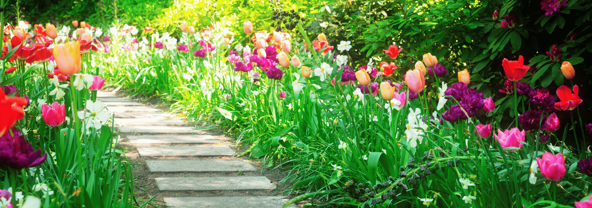 March Gardening Guide: Essential Tips for a Thriving Spring Garden ...