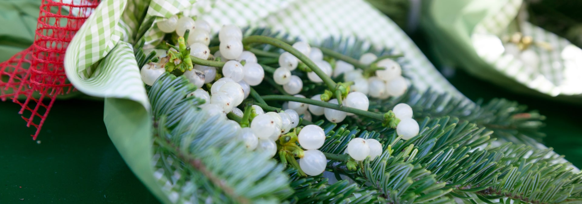 Mistletoe & Christmas - Horkans Garden Centre