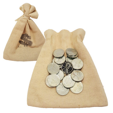 Steel Penny Bag