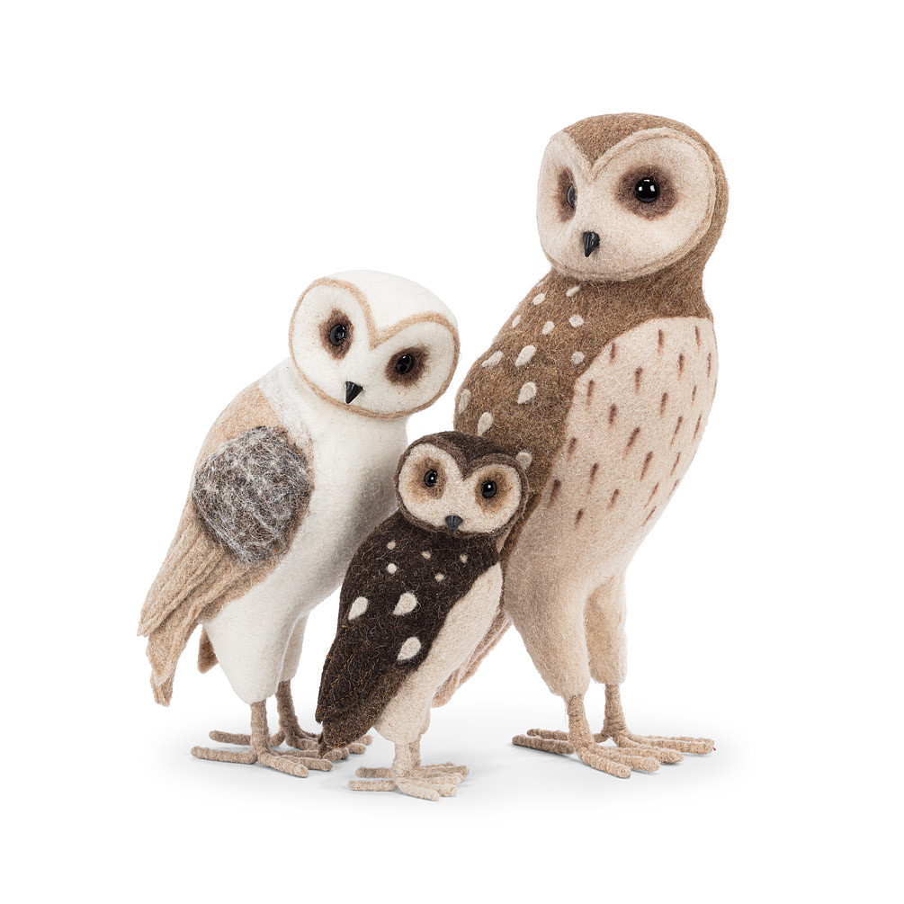Medium Barn Owl Kuriosities