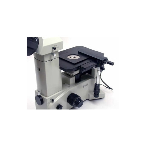 Binocular Microscopes | Microscope World