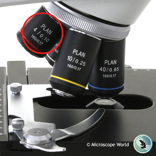 What Microscope Magnification Should I Start With? - Microscope World