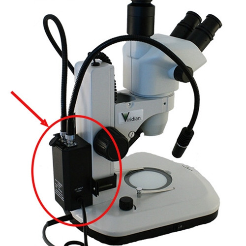 illuminator microscope use