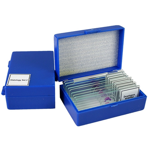 Histology Microscope Slide Kit