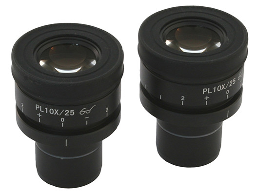 How to Adjust Focusing Microscope Eyepieces - Microscope World