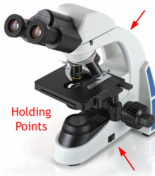 5 Tips to Properly Care for Your Microscope - Microscope World