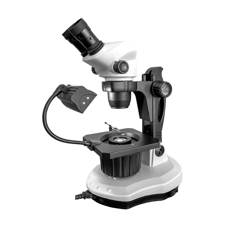 Binocular Microscopes | Microscope World