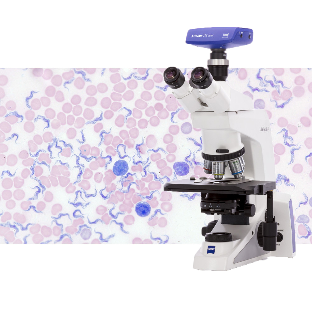 Choosing a Hematology Microscope - Microscope World