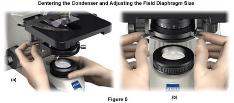 Koehler Microscope Illumination - Microscope World