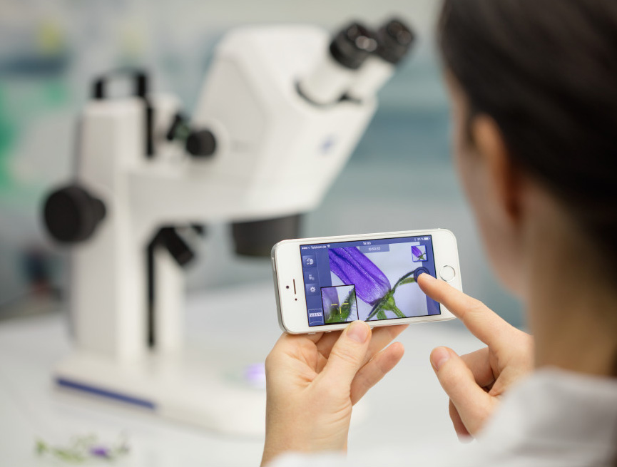 How to Take Pictures Through A Microscope - Microscope World