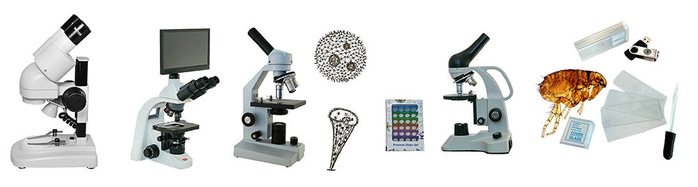 Microscope Holiday Gift Guide - Swift Microscope World