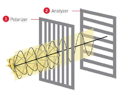 Microscopy Polarization Explained - Microscope World