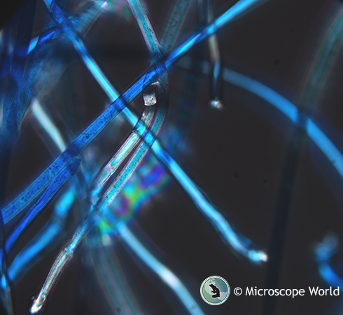Fiber Analysis under the Microscope - Microscope World