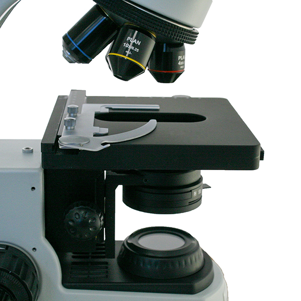 10 Types of Light Microscopes and How to Use Them - Microscope World
