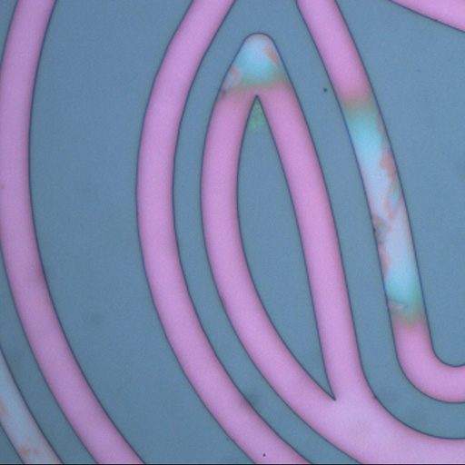 Features of Infrared Laser Scanning Confocal Microscopes - Microscope World