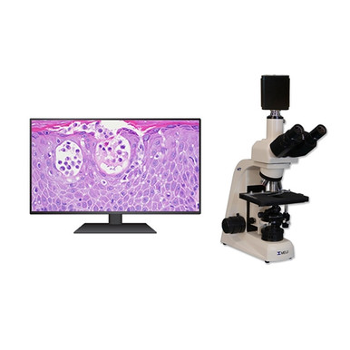 Advanced Mohs Digital Dermatology Microscope