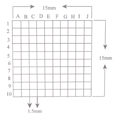 KR456 Grid Reticle 100 Squares 15mm x 15mm