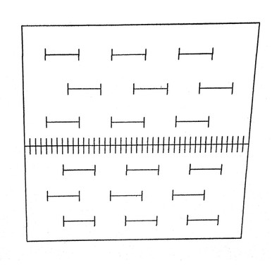 KR803 Merz Straight Line with Scale Reticle