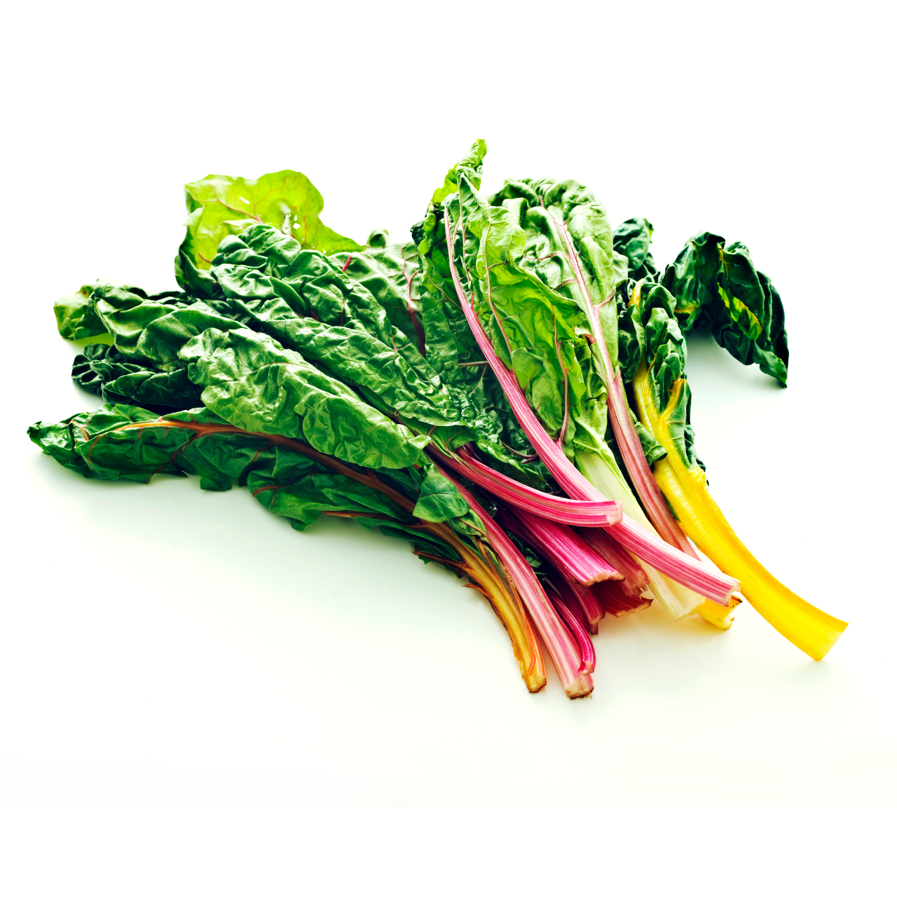 Shop top quality Swiss Chard Rainbow Mix seeds from Dutch Bulbs