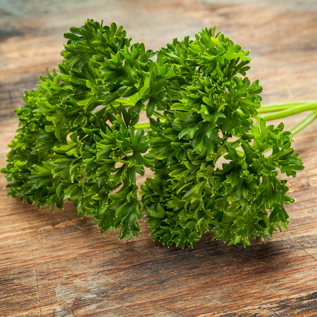 Shop top quality Herbs Parsley - Triple Moss Curled seeds from Dutch Bulbs