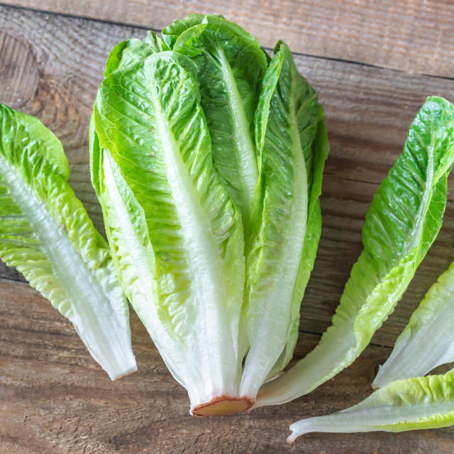 Shop top quality Lettuce Romaine Parris Island Cos seeds from Dutch Bulbs