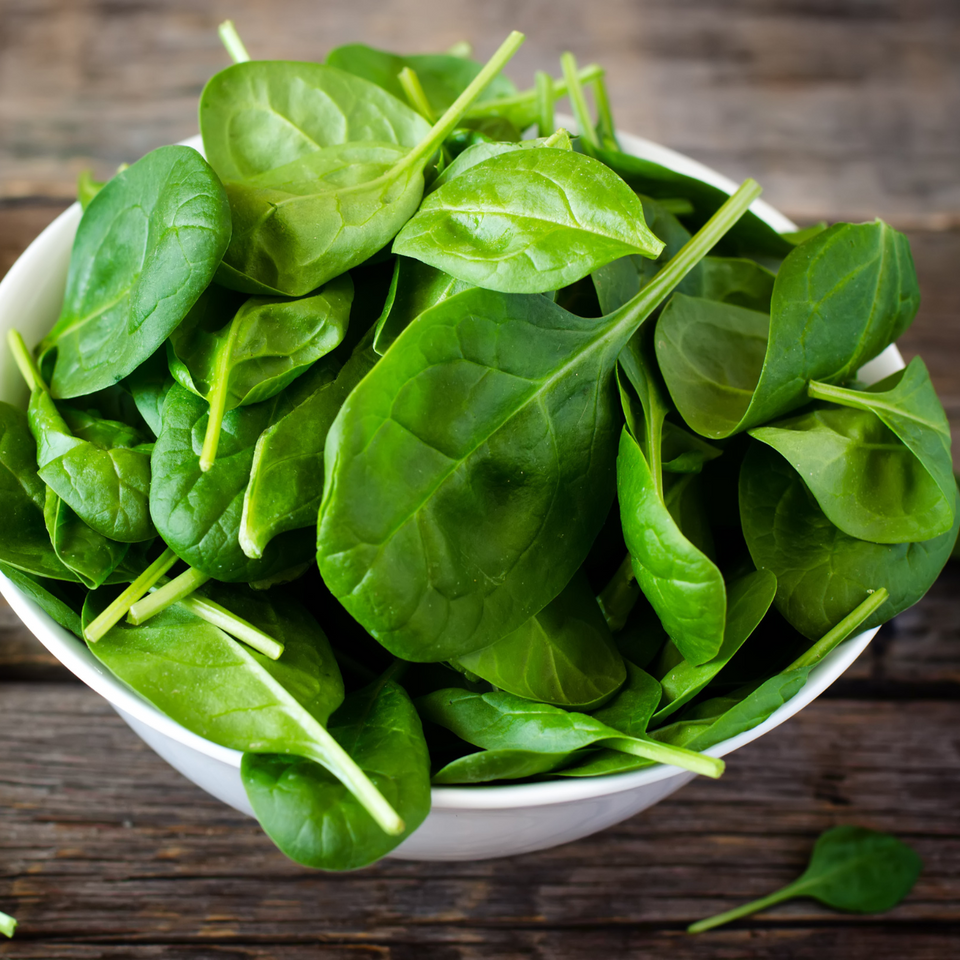 Shop top quality Spinach Giant Winter seeds from Dutch Bulbs