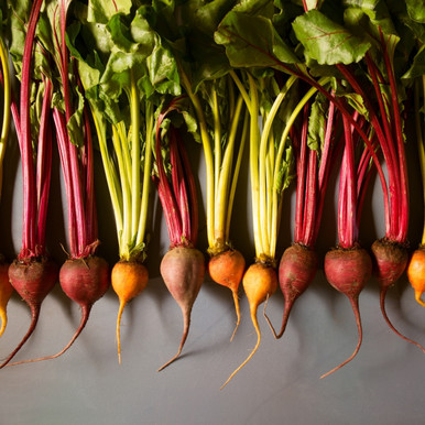 Buy premium-quality Beetroot Rainbow Mix from Dutch Bulbs