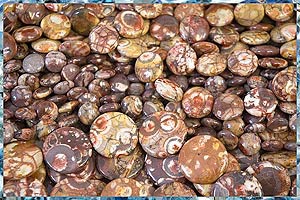 Gemstone Index: Rhyolite - Rings & Things