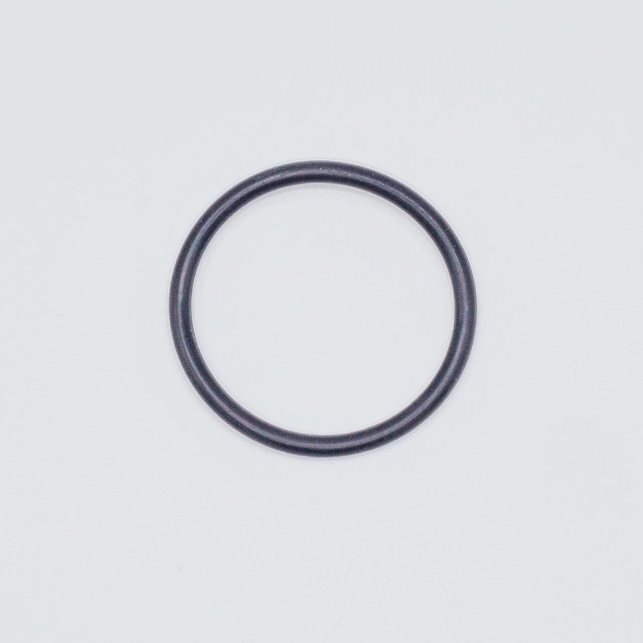 IPM O-ring 500023