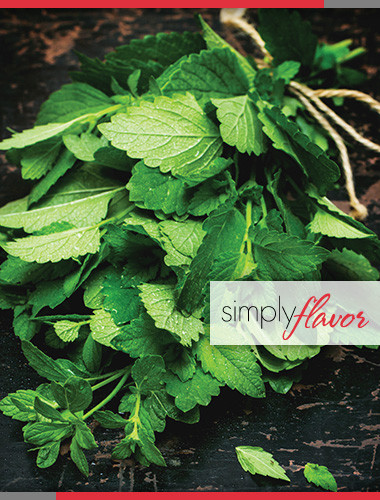 Fresh Menthol Flavoring - SimplyFlavor