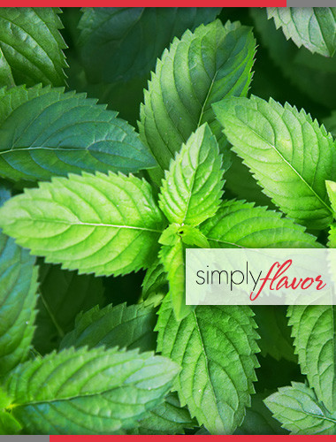 Menthol Flavors