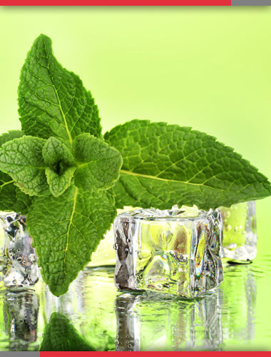 Menthol Crush Flavoring - SimplyFlavor