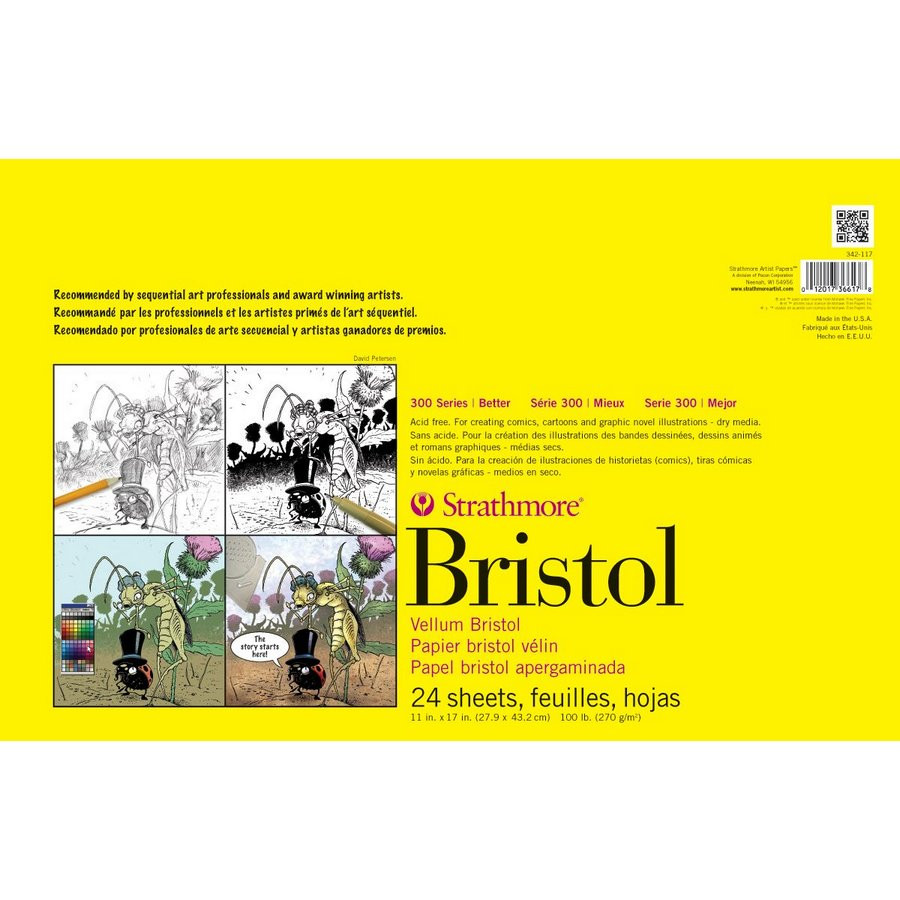 Bristol and Bristol Board