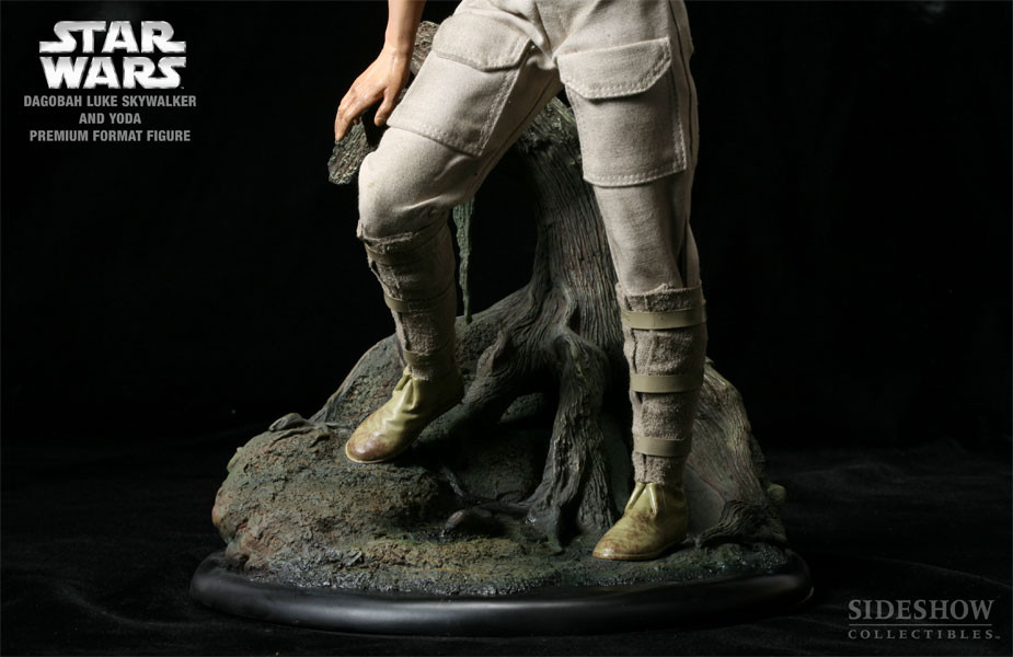 Luke Skywalker Yoda Training