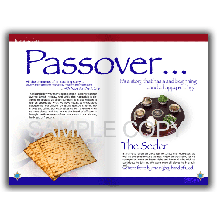Passover Haggadah The 30 Minute Seder