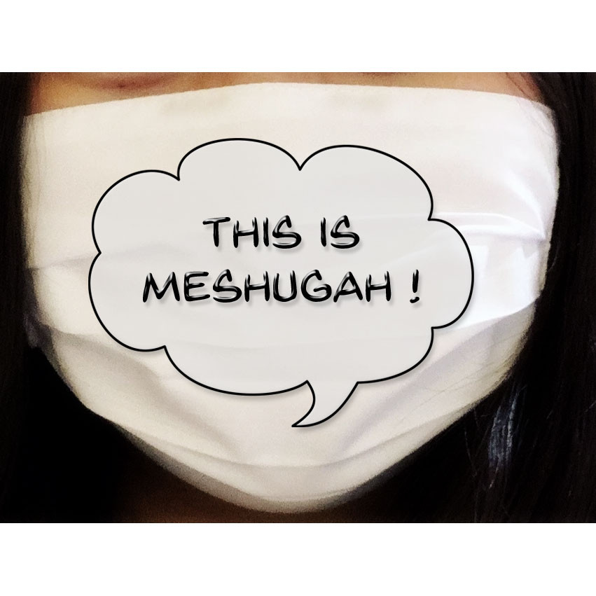 Yiddish Punim Masks - Meshugah Cloth Face Covering