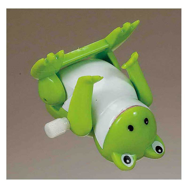 Passover Backflip Frog