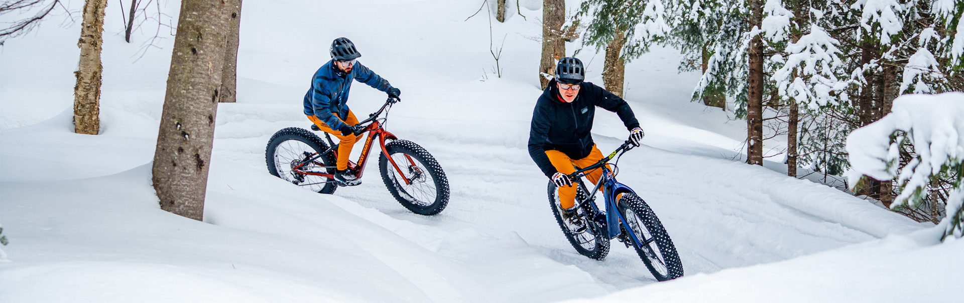 Bikes - Mountain - Fat Bikes - The Bike Shop