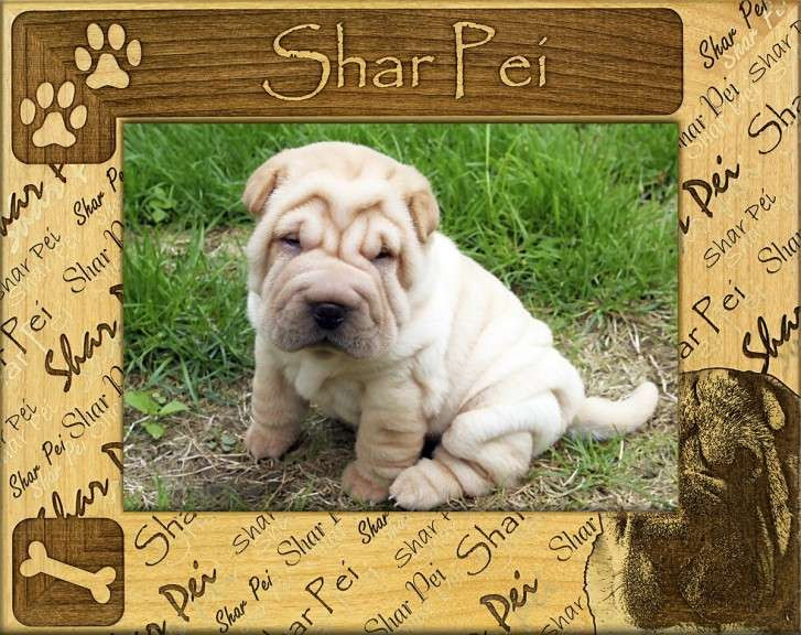 Personalized frame - Shar Pei