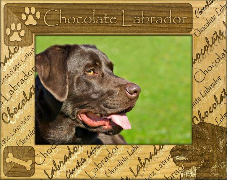 Personalized frame - Chocolate Labrador