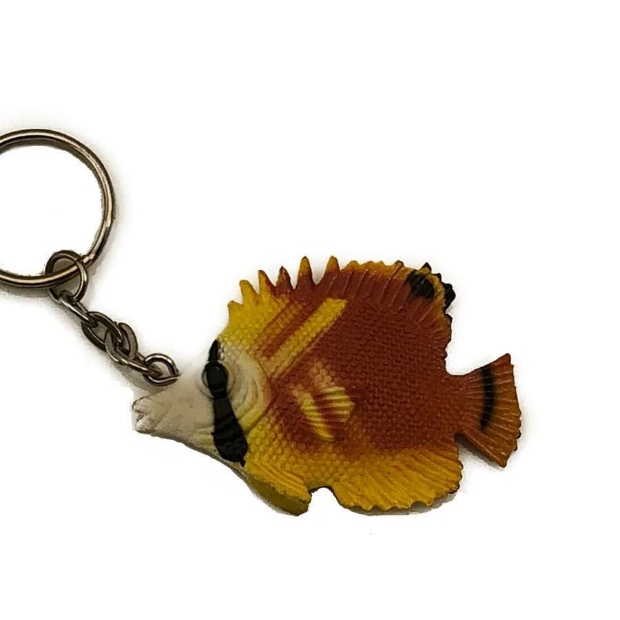 Keychain - Angel Fish - North Coast Pets