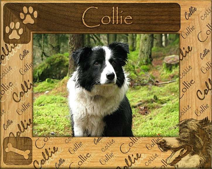 Personalized frame - Collie