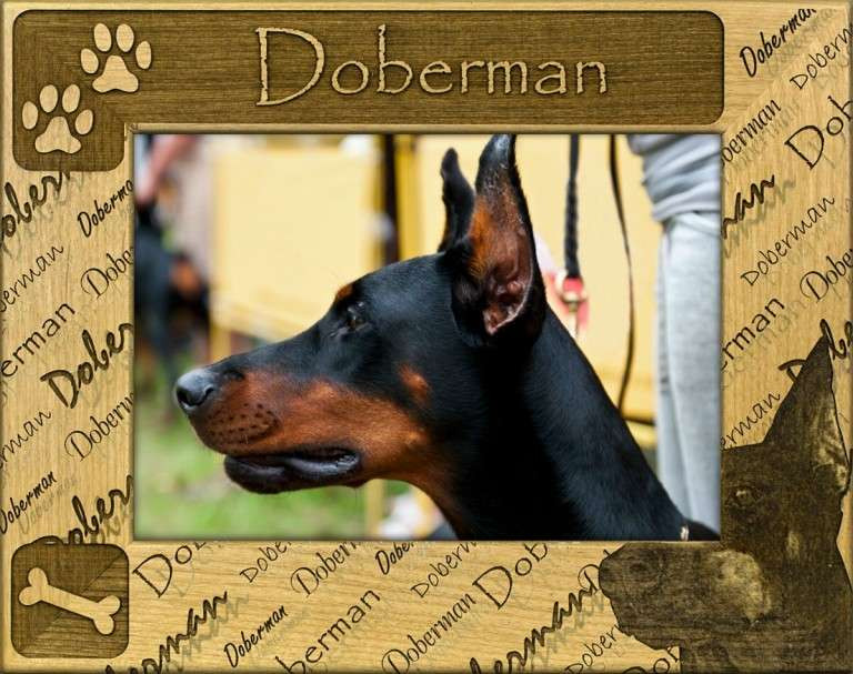 Personalized frame - Doberman