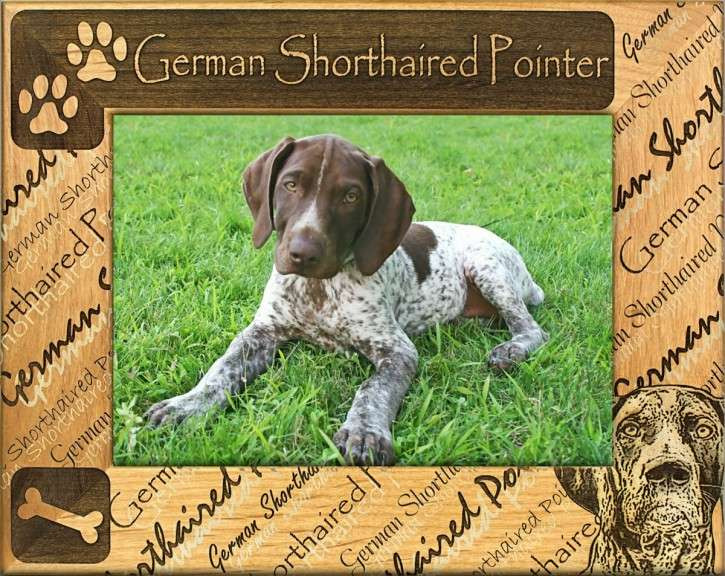 Personalized frame - German Shorthair Pointer