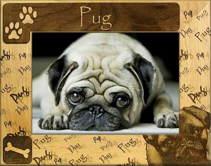Personalized frame - Pug