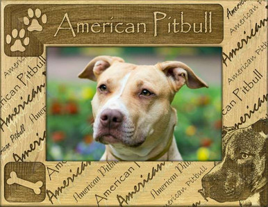 Personalized frame - American Pitbull