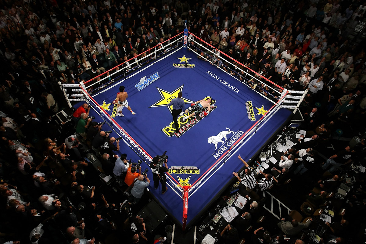 Pro Fight Ring - BoxingRing.com