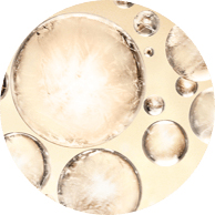 The Global Leader In Skin Care Science | Olay