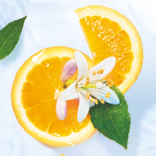 Olay Body Wash | Olay.com